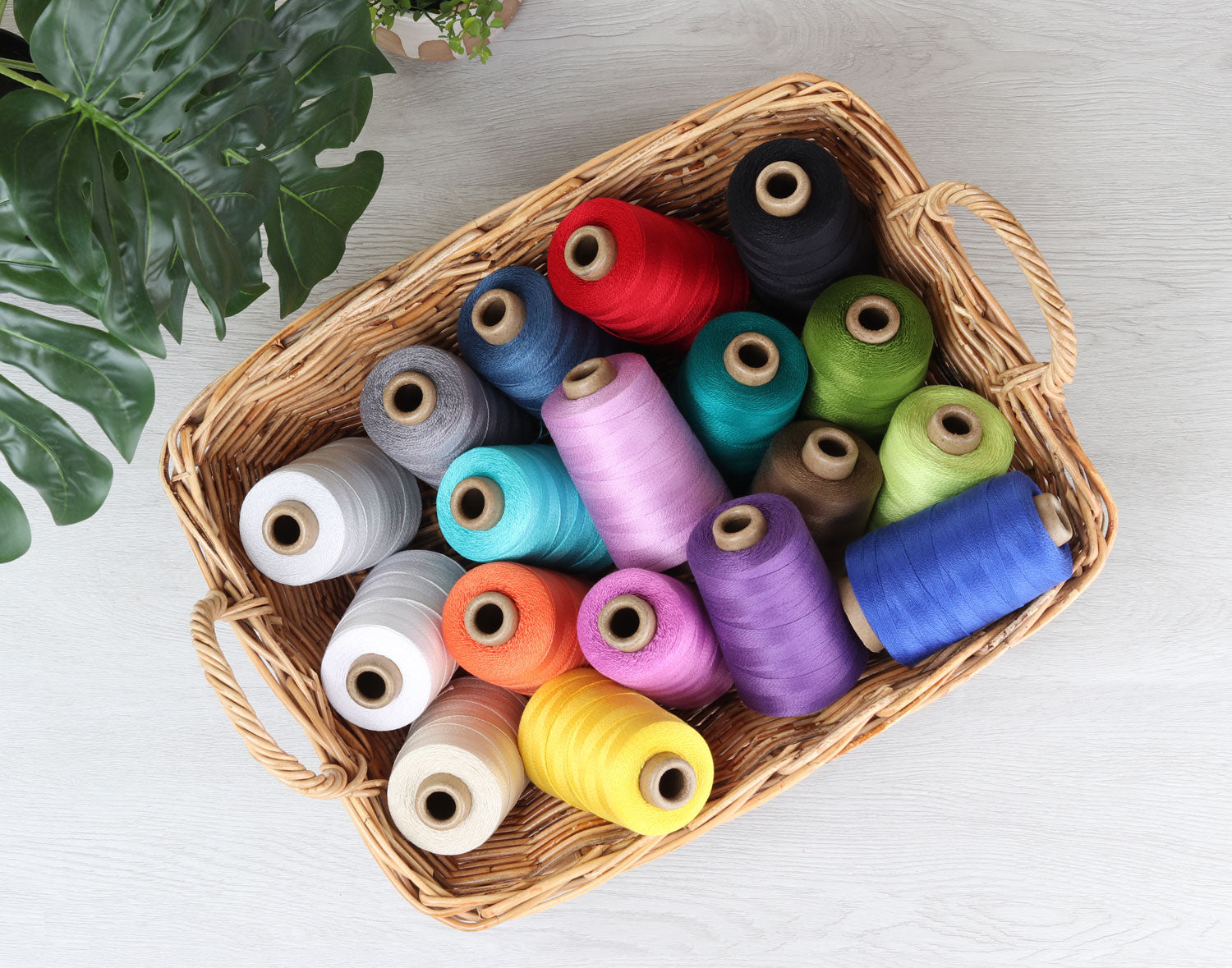 Cotton – Weft Blown
